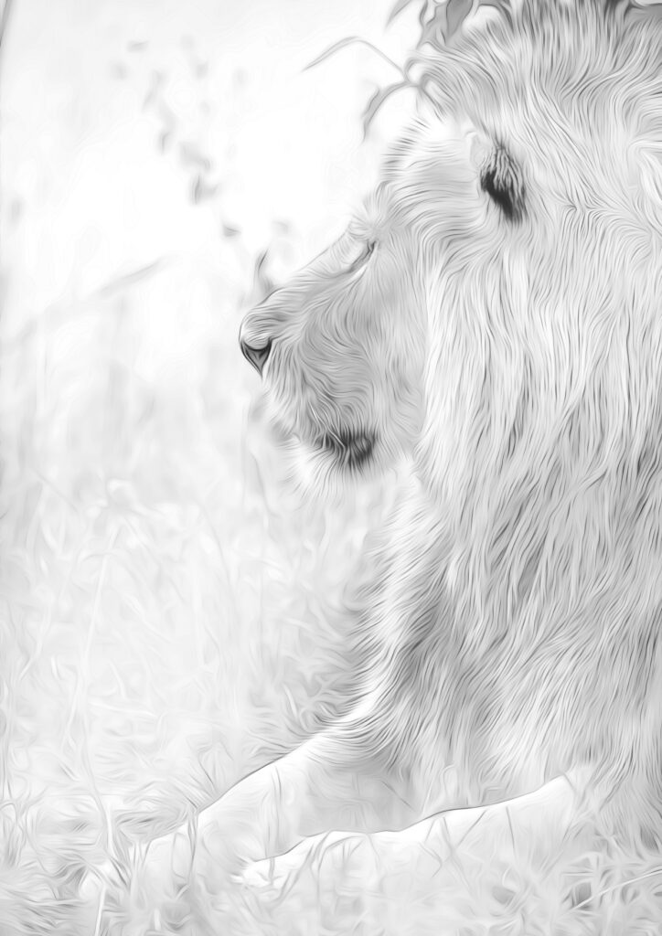 Sensuality – coloring page tutorial: inizia oggi il nuovo modulo ...